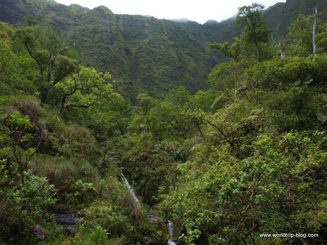 5 Reasons why you should travel to the Hawaiian Island Kauai ...